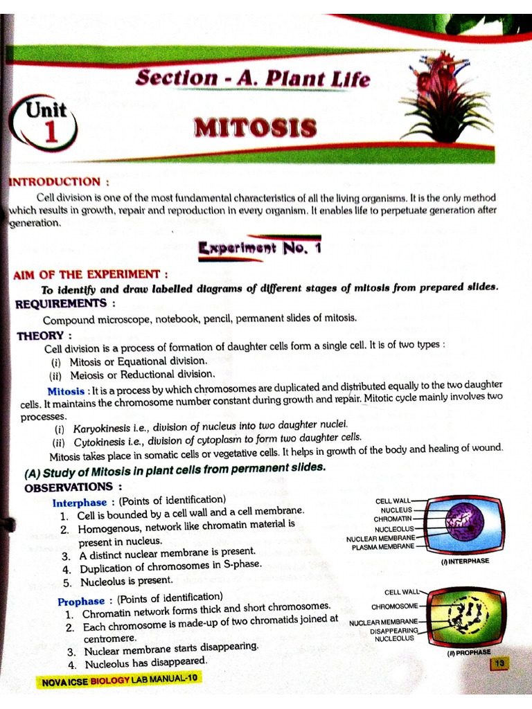 Lab Manual Work Part 1 - 20210628113608 | PDF