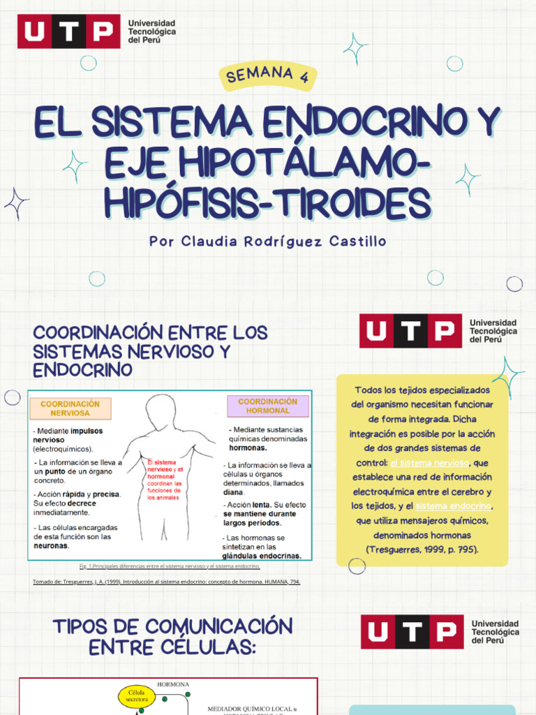 El Sistema Endocrino y Eje Hipotálamo-Hipófisis-Tiroides | PDF | Hormona estimulante de la ...