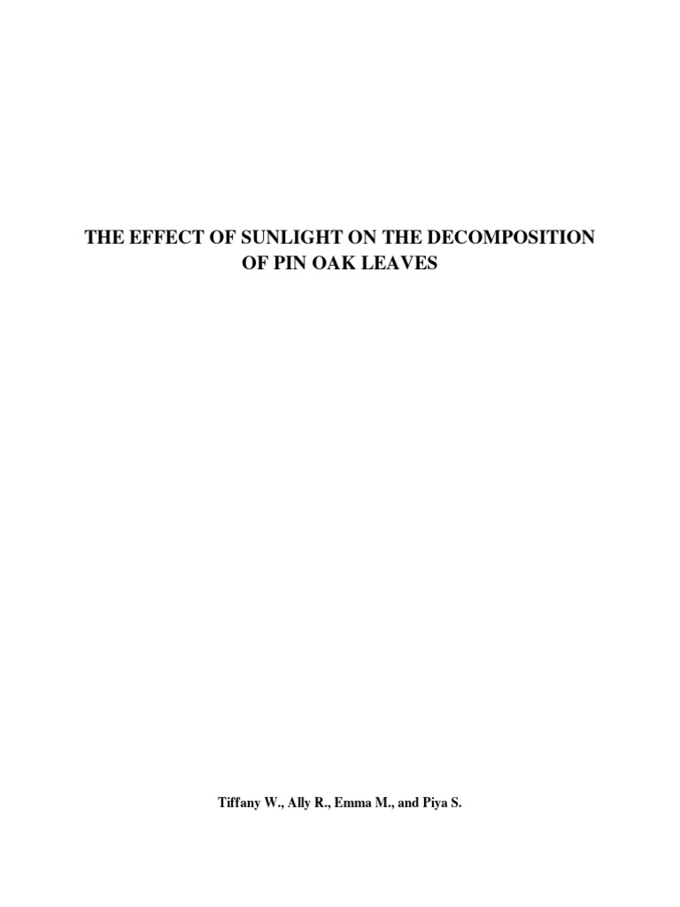 The Effect of Sunlight On The Decomposition of Pin Oak Leave 1 | PDF ...