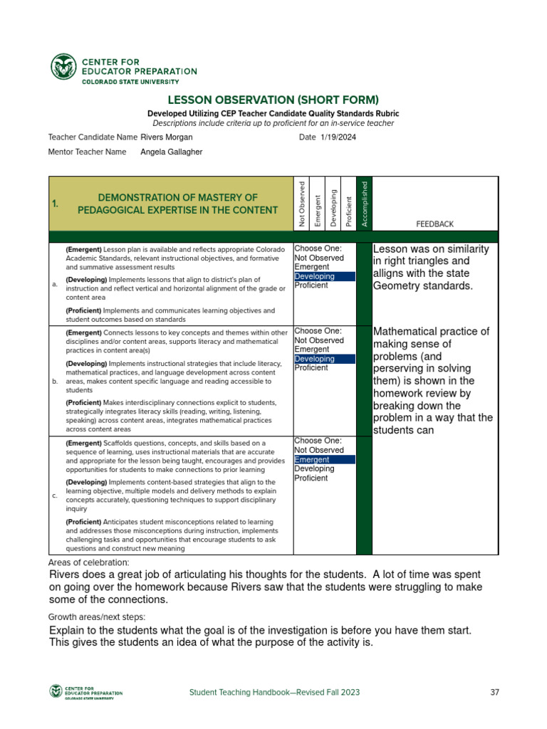 lesson observation short form 1 | PDF | Learning | Inclusion (Education)