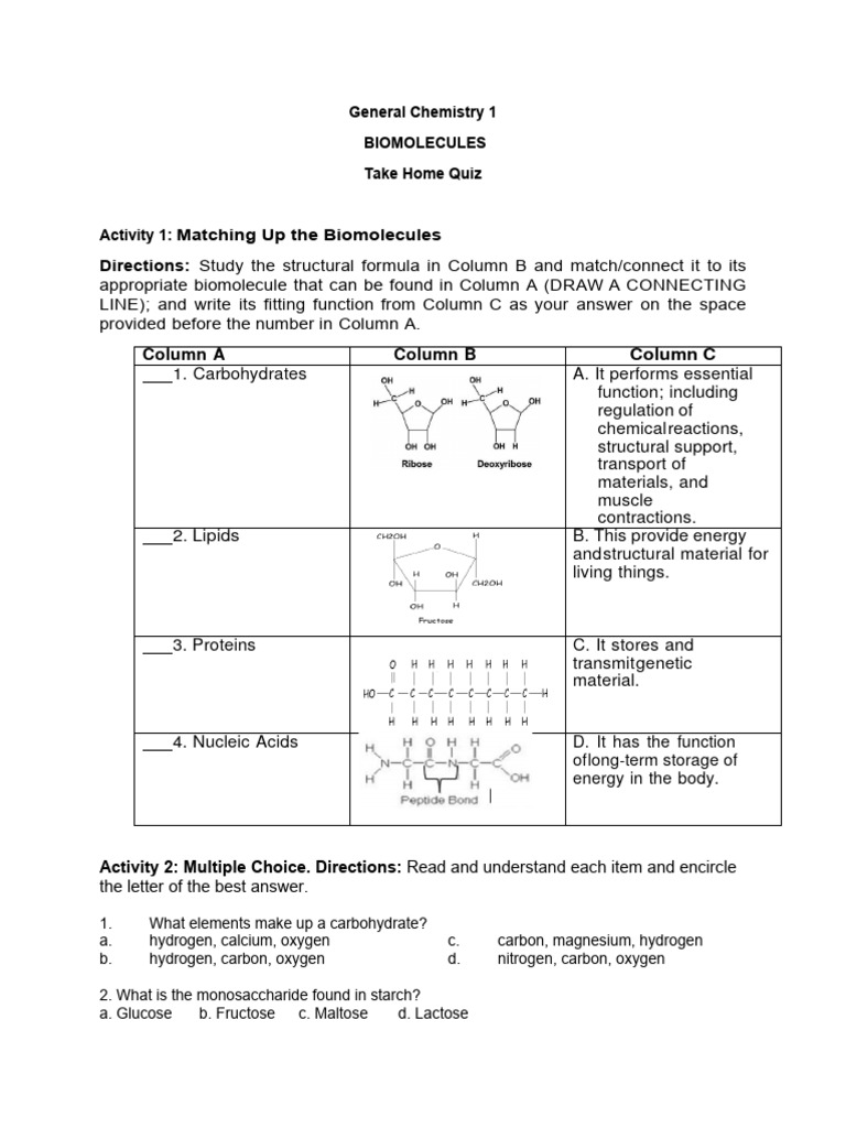 Biomolecules Quiz: Structure and Function | PDF | Carbohydrates ...