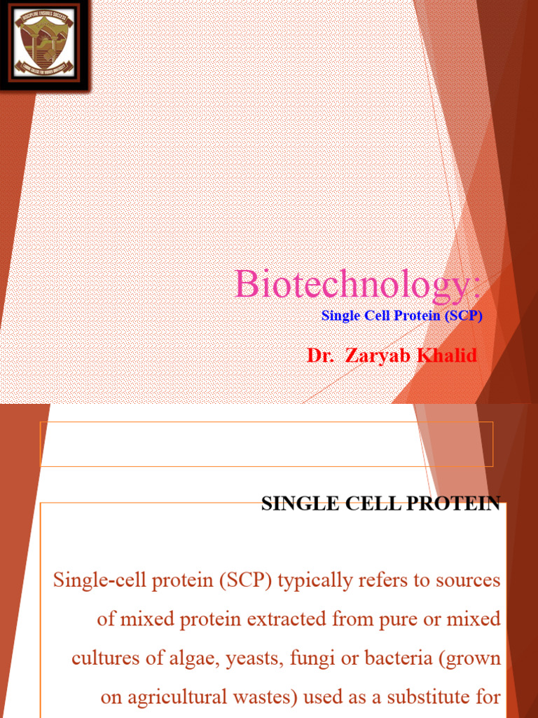 Microbial Protein Production | PDF | Fermentation | Biology