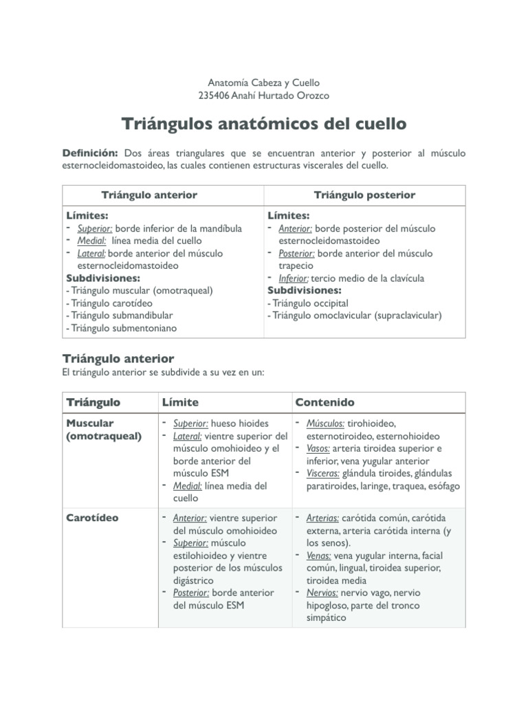 Triángulos Anatómicos del Cuello | PDF | Sistema musculoesquelético | Cabeza y cuello humanos