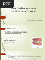 Clases de Angle | PDF | Anatomia dental | Diente