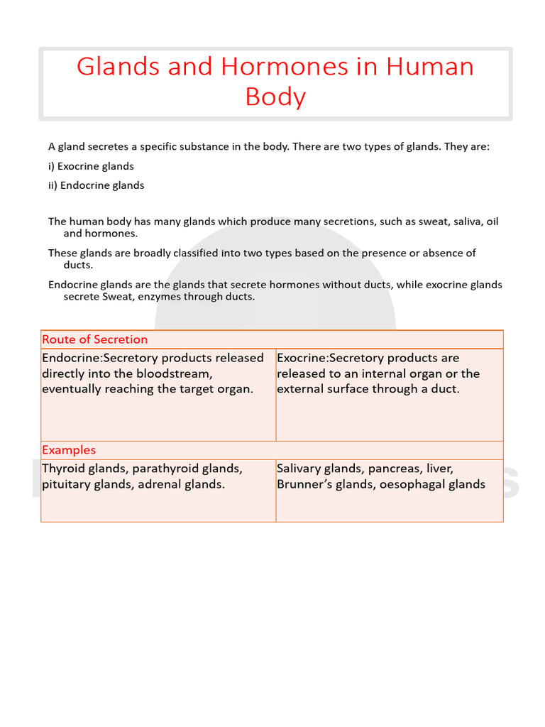 Glands & Hormones in Human Body | PDF | Endocrine System | Pancreas