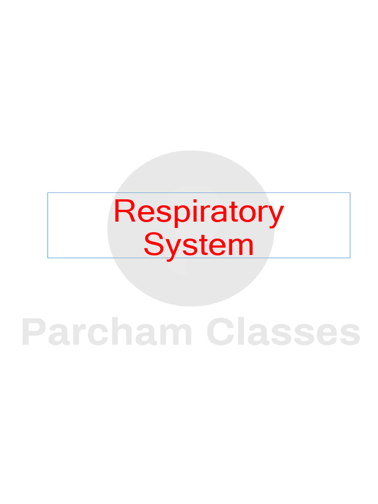 Respiratory System | Download Free PDF | Respiratory Tract | Respiratory System