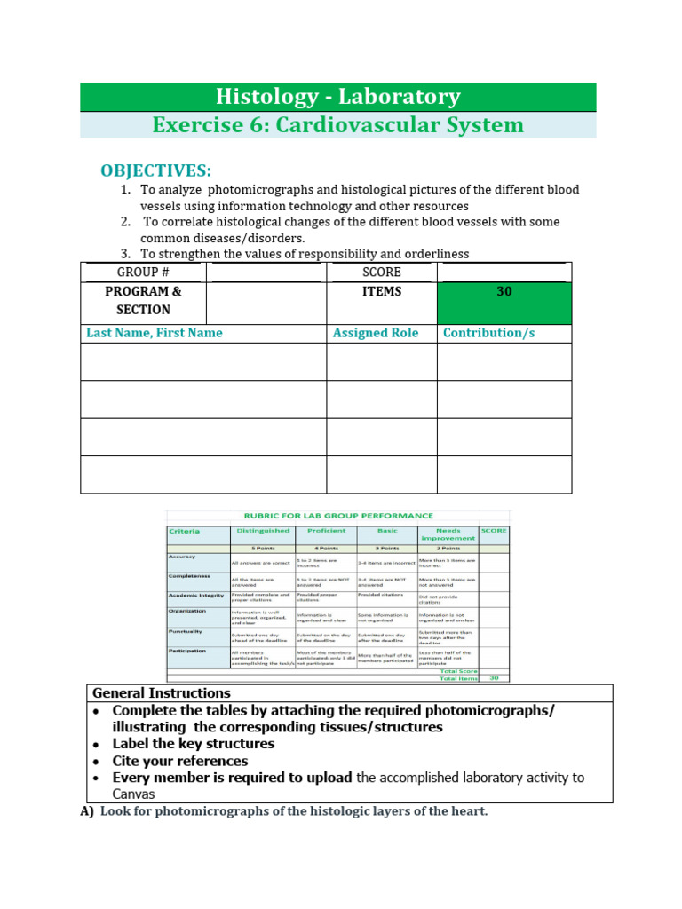 Laboratory Exercise 6 Cardiovascular System | Download Free PDF | Heart | Cardiac Muscle