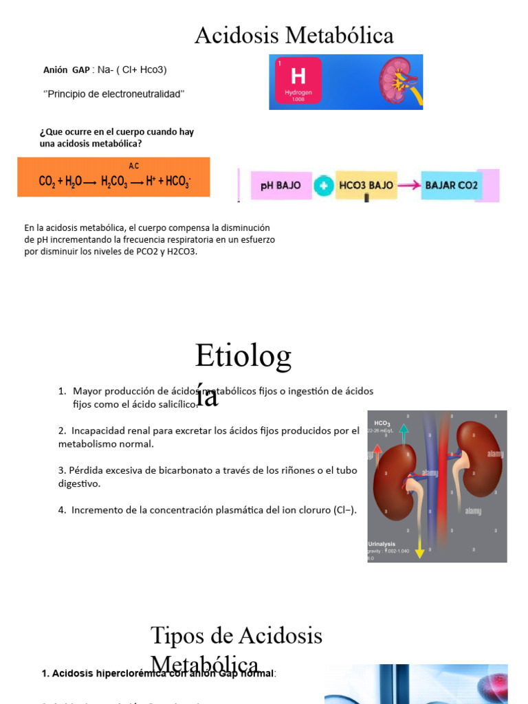 Acidosis Metabolica | Descargar gratis PDF | Medicina CLINICA ...