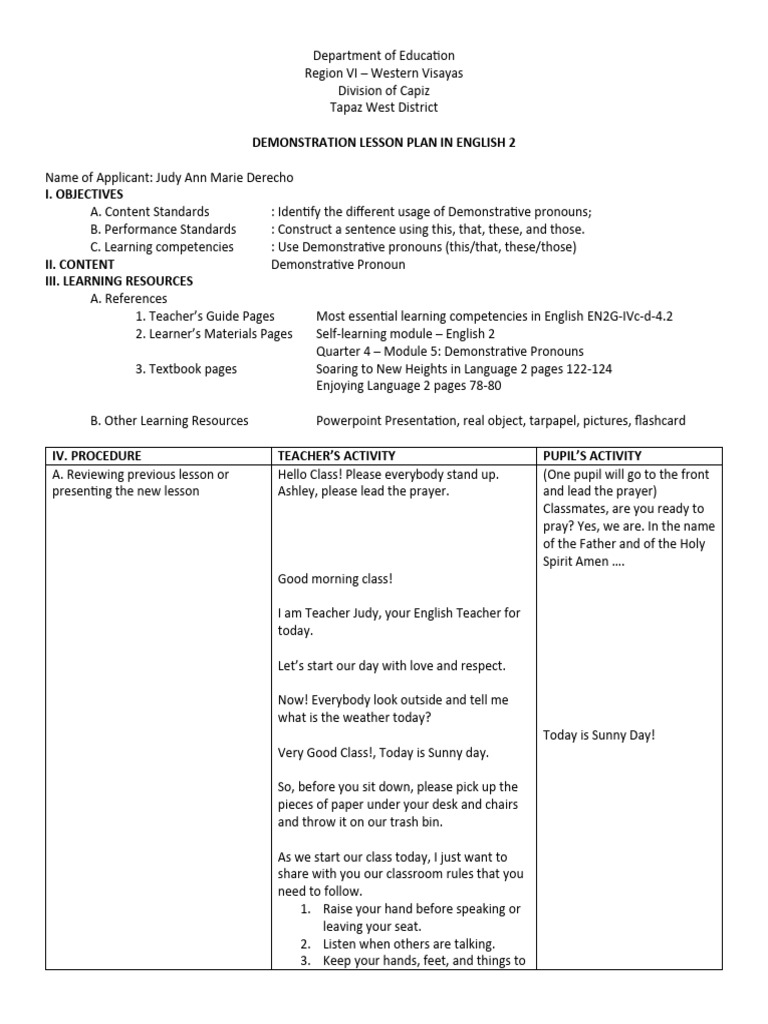 Lesson Plan | PDF | Grammatical Number | Pronoun