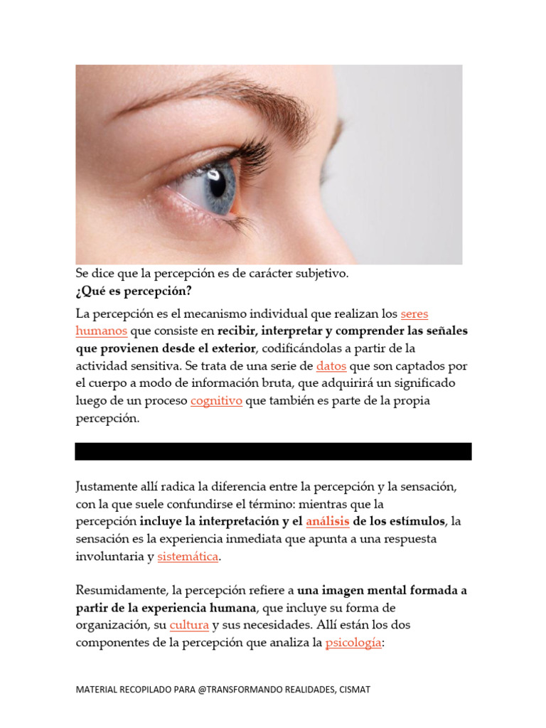PERCEPCION | PDF | Percepción | Procesos mentales