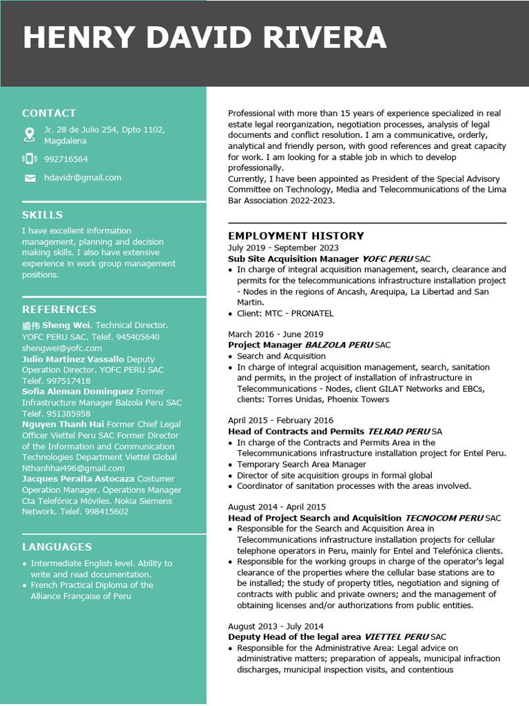 Henry_DAVIDRIVERA_CV ENGLISH | PDF | Taxes