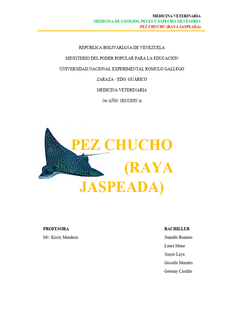 Pez Chucho | PDF | Pescado