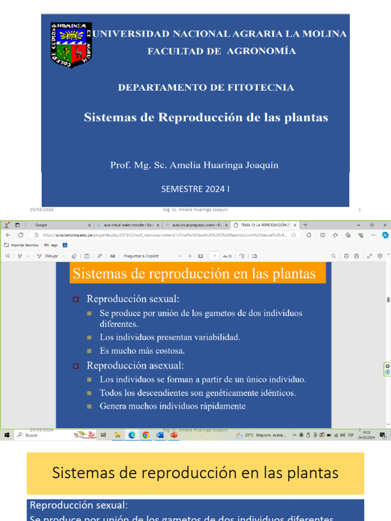 Clase 3 25 Marzo Reproducción Sexual y Esterilidad | PDF | Gene | Plantas