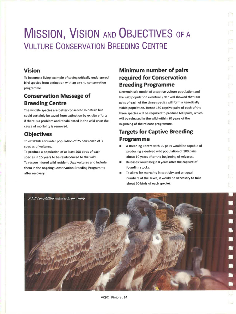 Vulture Conservation Programme | PDF