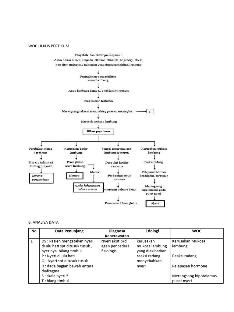 Woc Ulkus Peptikum | PDF