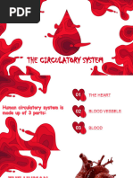 The 3 Types of Circulation | PDF
