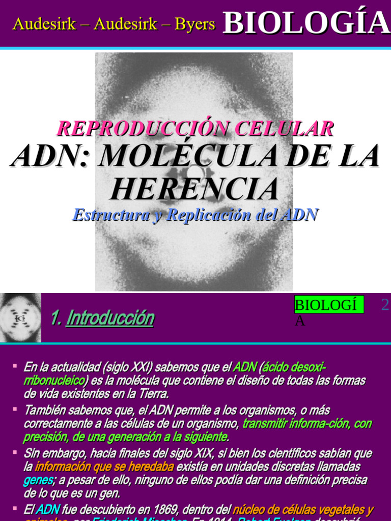 01 Adn Molécula de La Herencia - Estructura y Replicación Del Adn | Descargar gratis PDF | Adn ...