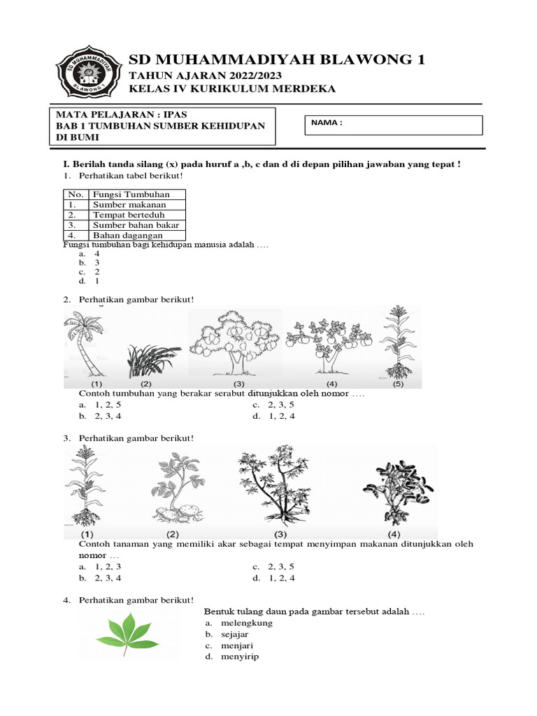 Soal Penilaian Harian IPAS Bab 1 | PDF