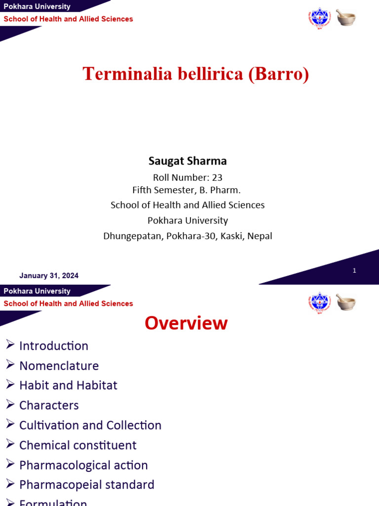 T. Bellirica (Barro) | PDF | Leaf | Wound