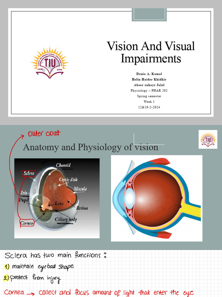 Lab 1 2 | PDF | Myopia | Cataract