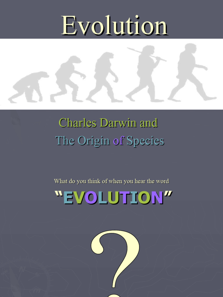 Darwin's Evolution Insights | PDF | Natural Selection | Evolution