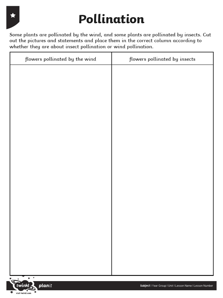 Activity Sheet Pollination | Download Free PDF | Flowers | Pollination