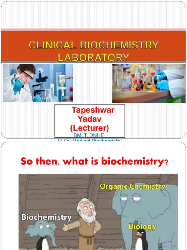 Biochem Clinical | PDF
