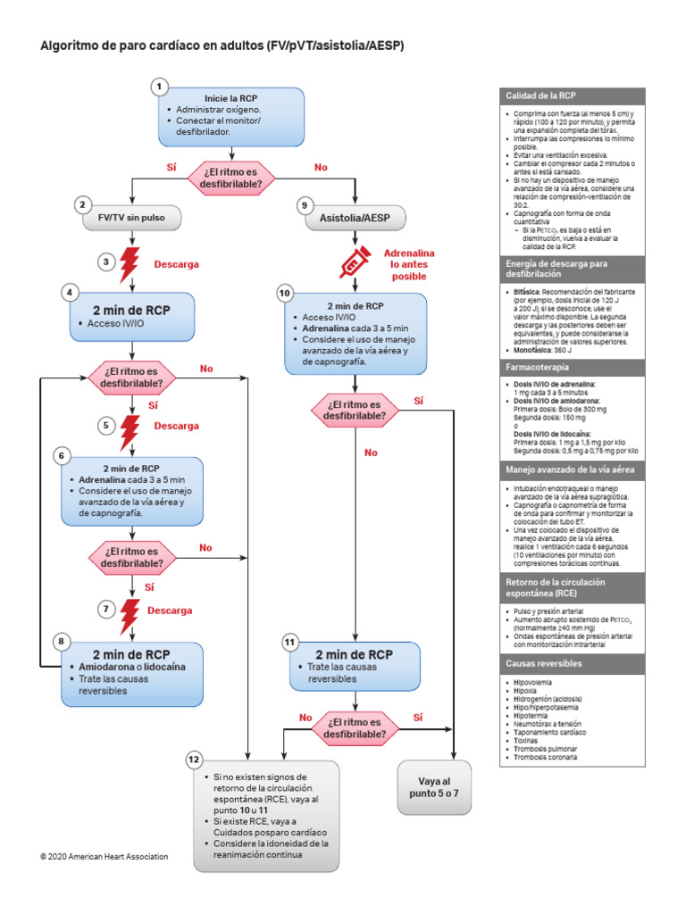 Algoritmo ACLS 2020 para Bradicardia | PDF | Reanimación cardiopulmonar ...