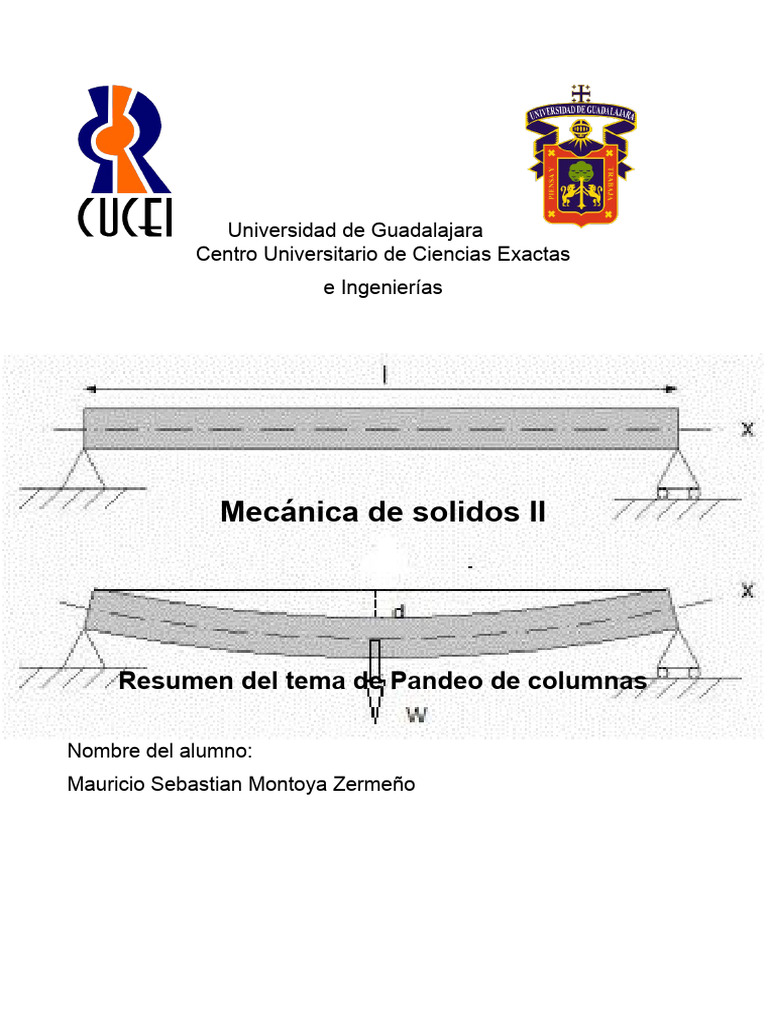 Resumen del tema de Pandeo de columnas | PDF | Columna | Pandeo