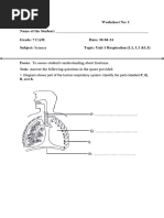 Year 8 Breathing and Respiration | PDF | Respiratory System | Breathing