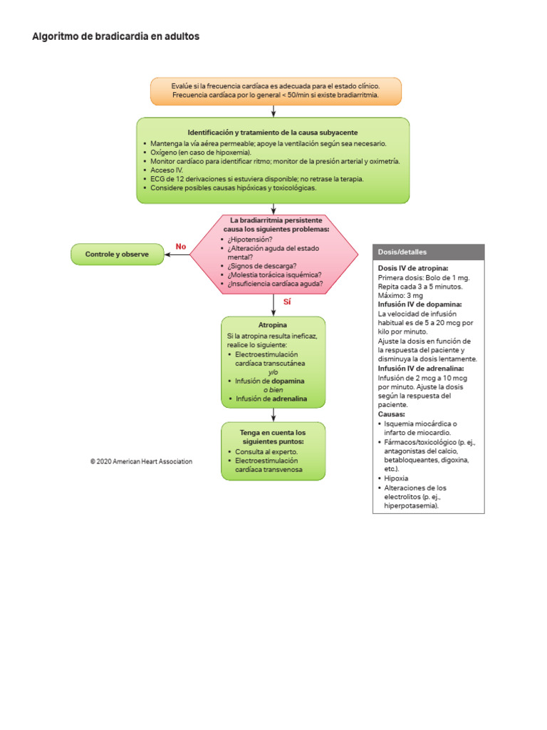 Algorithm-ACLS Bradycardia 200611 | PDF | Arritmia cardiaca | Cardiología