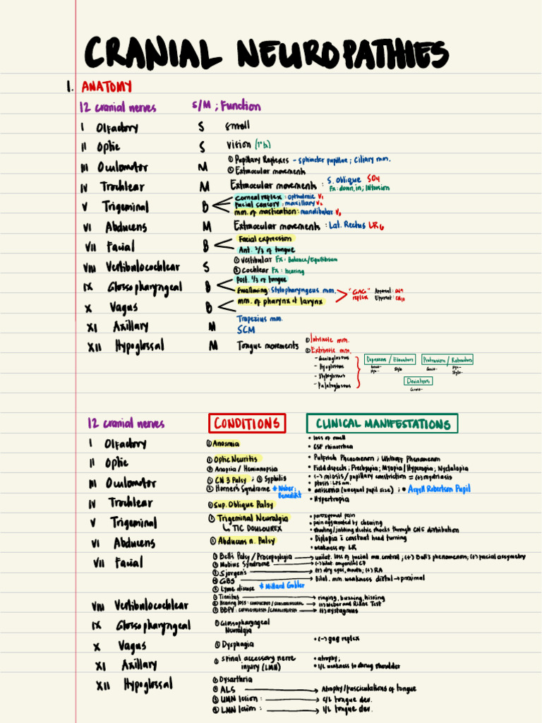 Cranial Neuropathies Topic Outline | PDF | Anatomy | Neurology