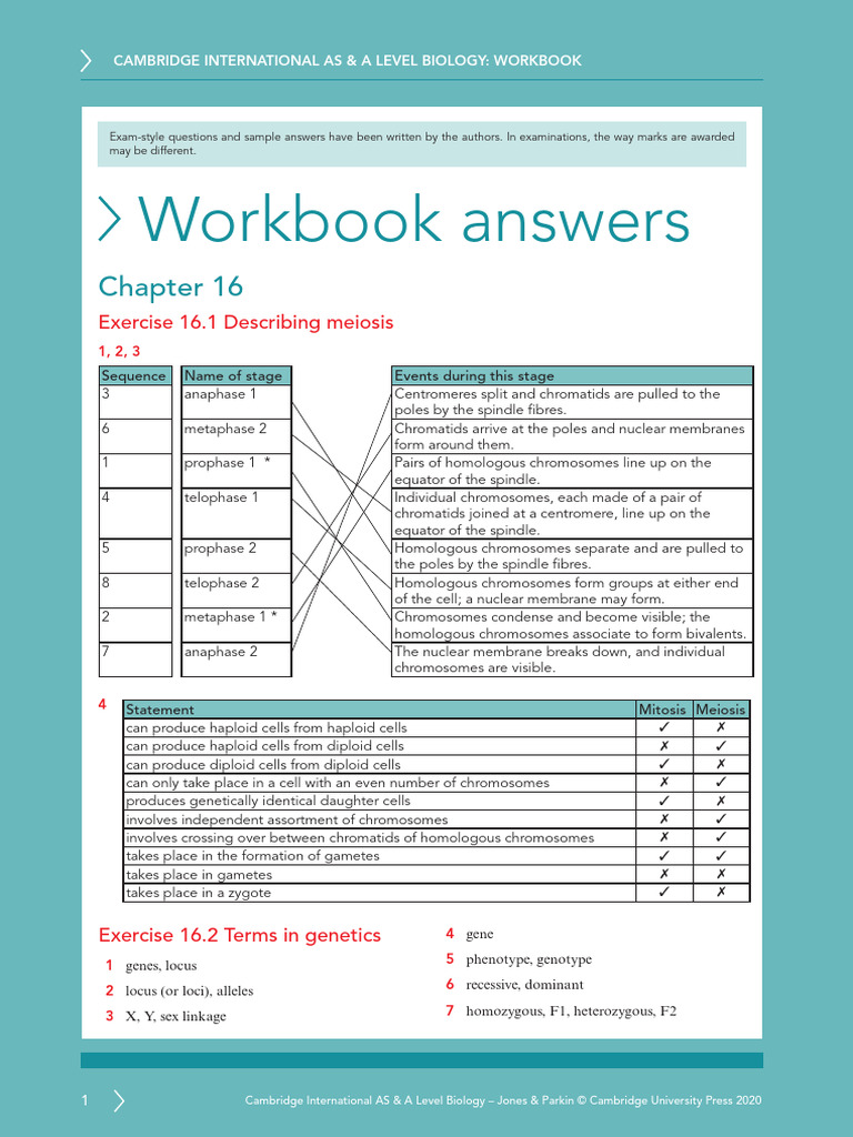 Workbook Exercise Answers Chapter 16 Asal Biology PDF | PDF | Meiosis | Dominance (Genetics)