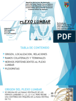 Plexo Lumbar - Anatomía, Ramos e Inervación - Kenhub | PDF ...