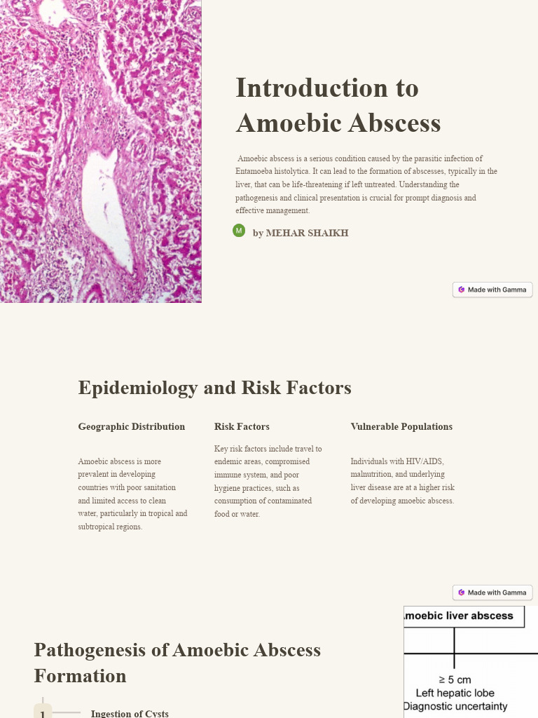 Introduction To Amoebic Abscess | PDF | Clinical Medicine | Medical ...