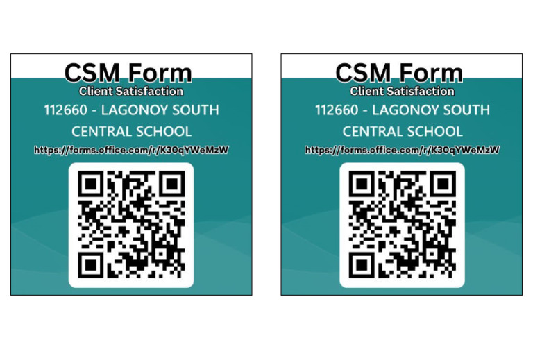 CSM Form Client Satisfaction | PDF