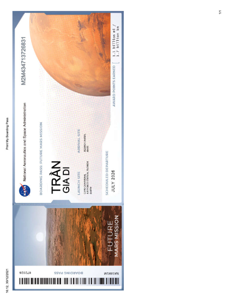 Print My Boarding Pass | PDF