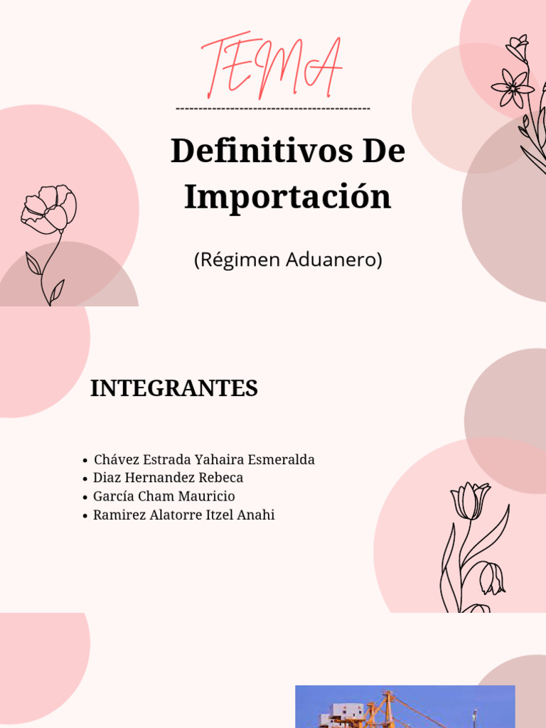 Régimen de Importación Definitiva | PDF | aduana | Business