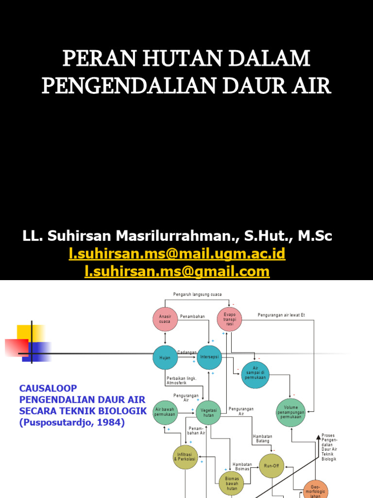 Peran Hutan | PDF
