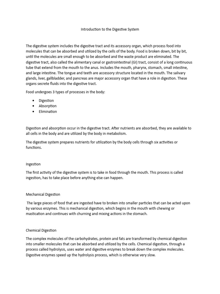 Introduction to the Digestive System | PDF | Digestion | Human ...