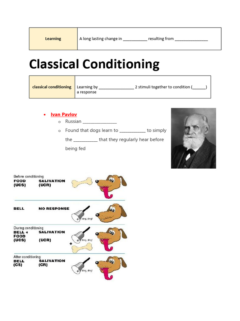 learning AP psychology | PDF | Classical Conditioning | Reinforcement