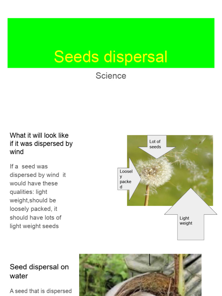 Seed Dispersal | PDF | Self-Improvement | Science & Mathematics