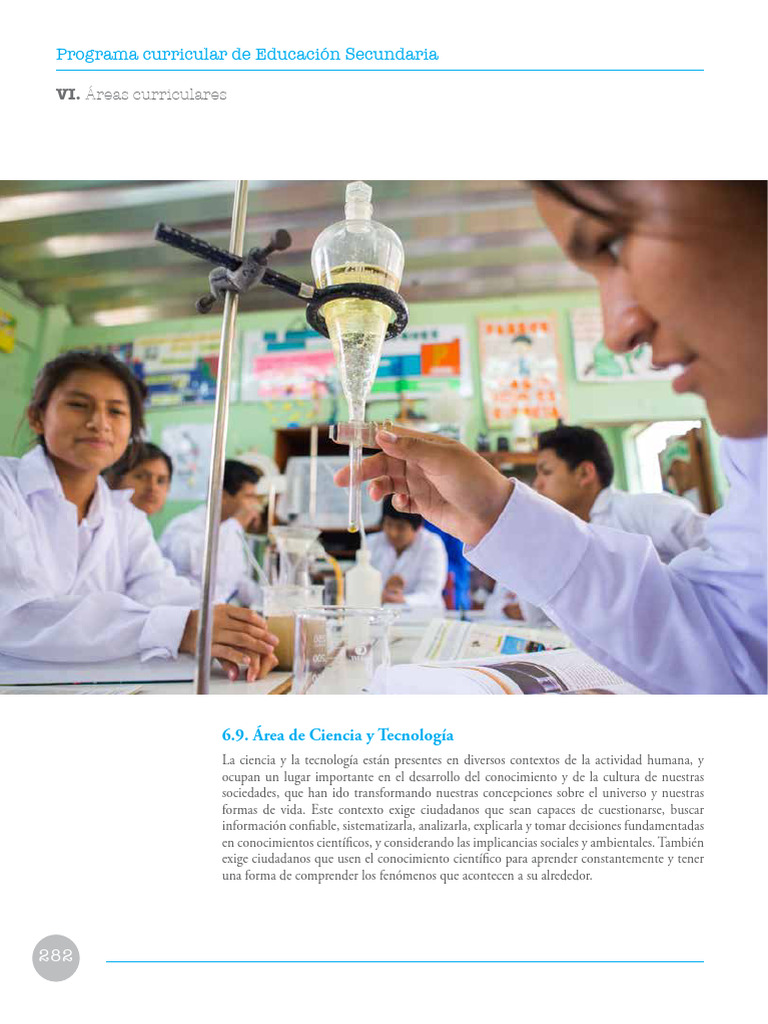 CNEB Solo CYT con desempeños_Cada participante | PDF | Experimentar ...