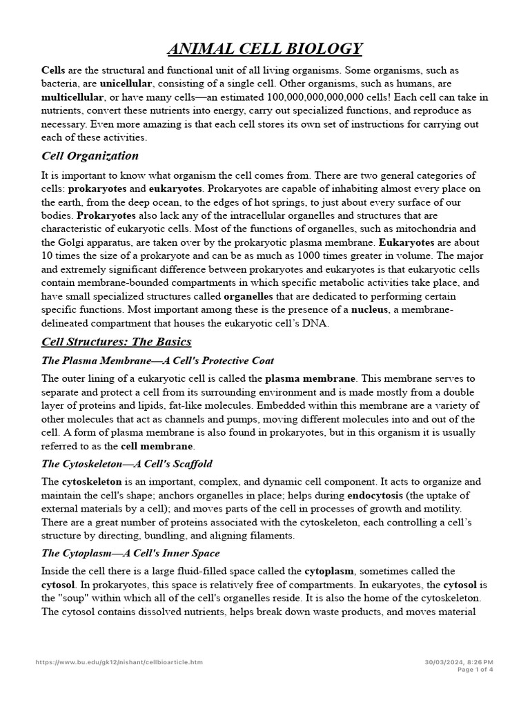 CELL BIOLOGY | PDF | Cell (Biology) | Endoplasmic Reticulum