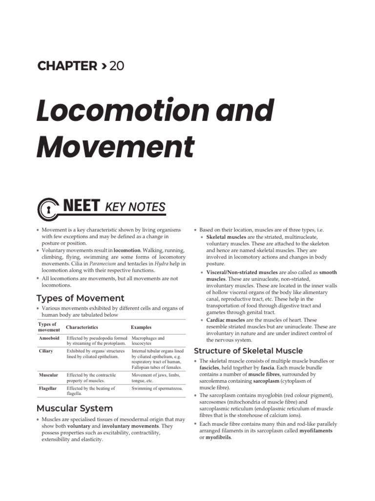 20. Locomotion and Movement | PDF | Muscle Contraction | Muscle