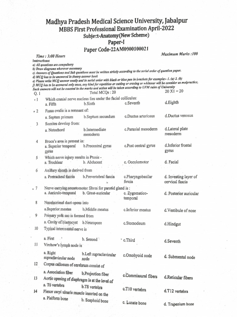 Pyq 21 | PDF | Anatomy