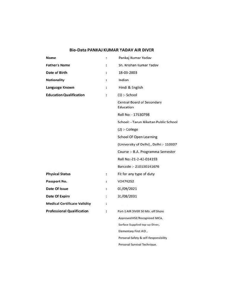 Air Diver Work History and Projects | PDF