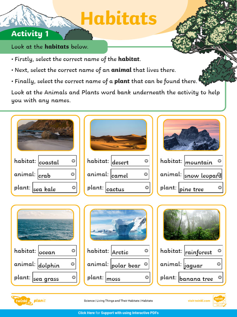 Science Home Learning Year 2 | PDF | Habitat | Earth Sciences