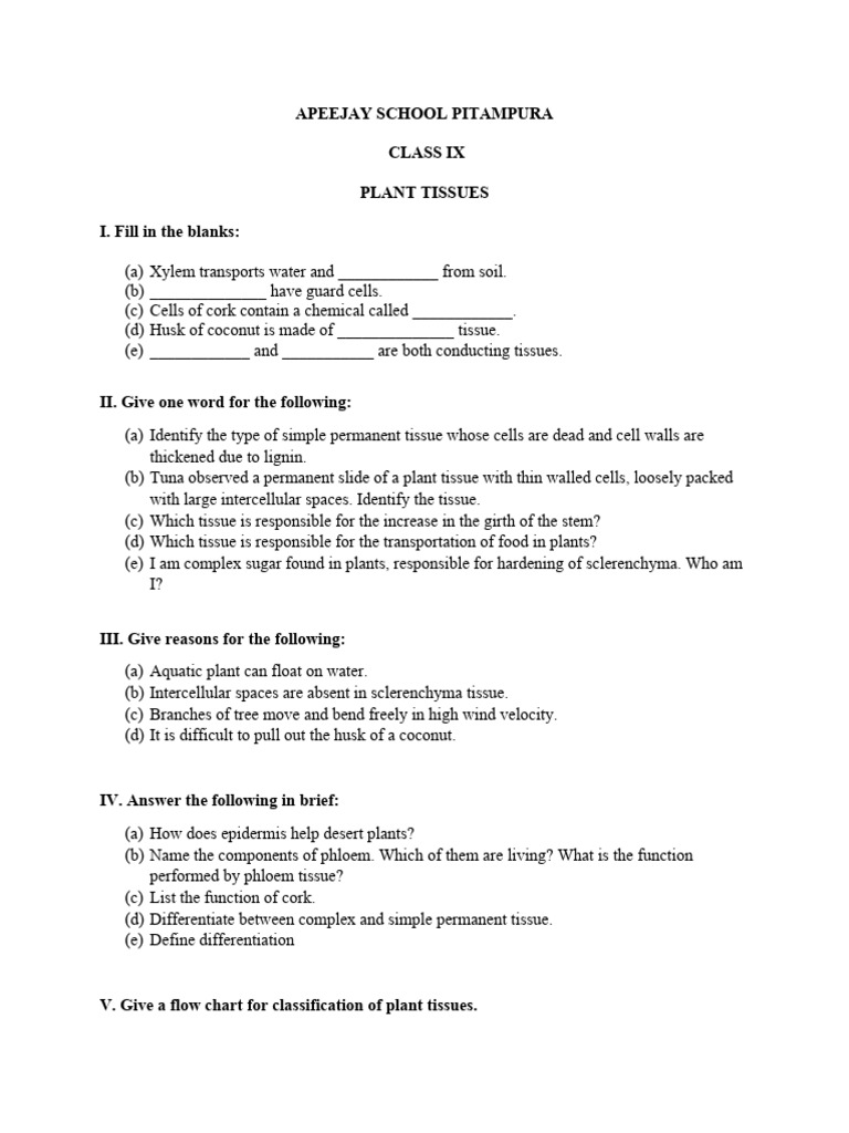 Plant Tissues - Assignment | PDF