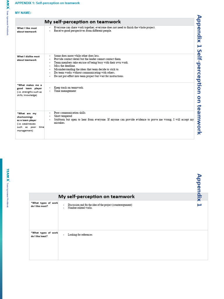 Appendix 1 Self Perception On Teamwork | PDF | Human Communication ...